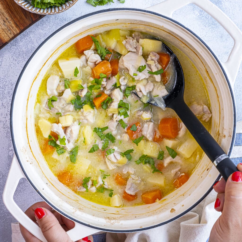 Quick Chicken Stew - Easy Peasy Foodie